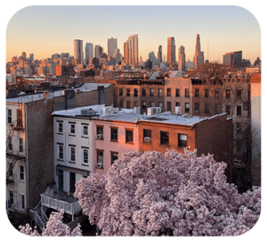 Elliot Tebele | About